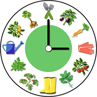 School Gardens - NEXT.cc