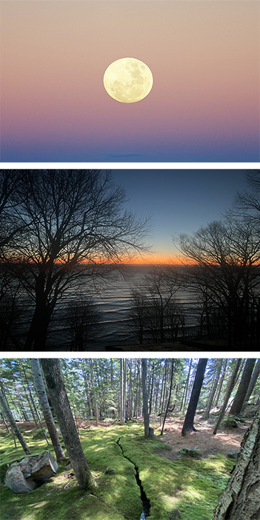 Backgrounds 1709147686 nature intro%2810