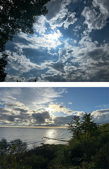 Backgrounds 1727617234 nature look up%21