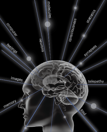 Map Of Human Consciousness