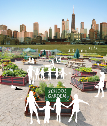 School Gardens - NEXT.cc